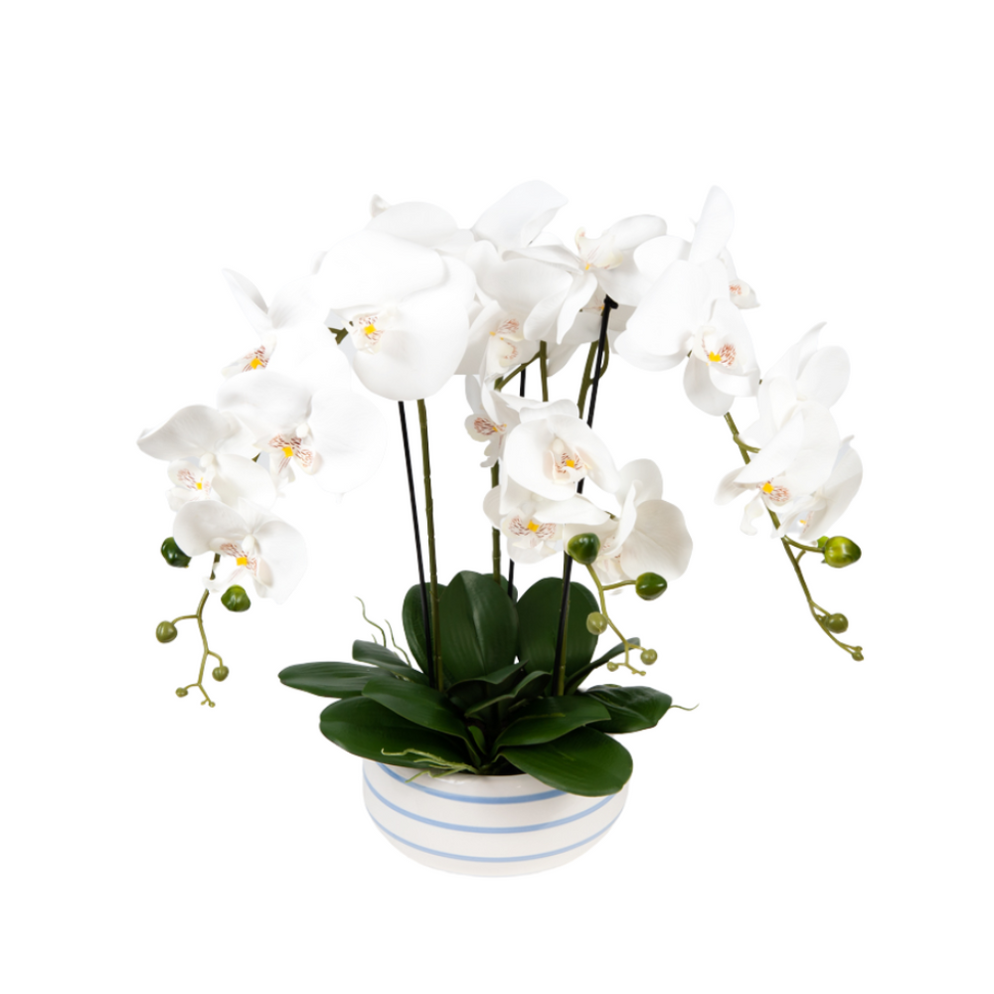 Butterfly Orchid in Hamptons Ceramic Pot | Artificial Flowers by ...