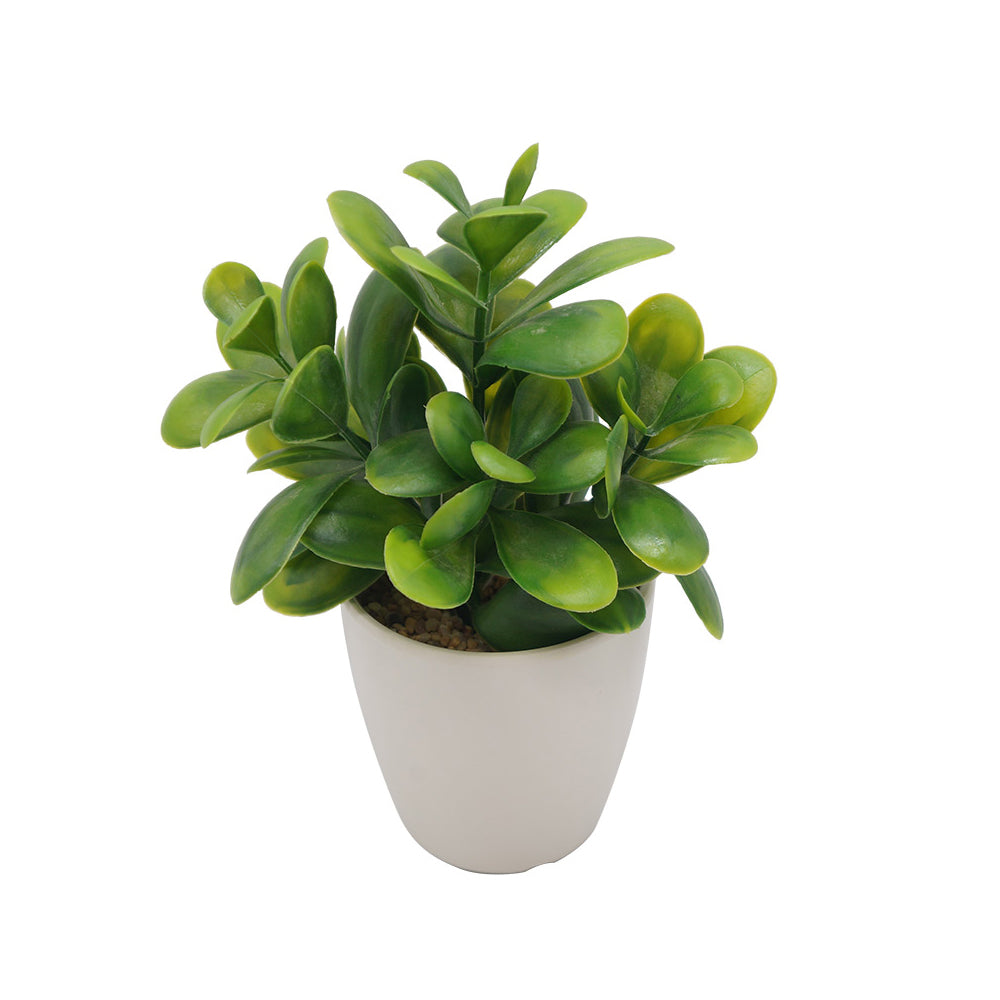 Common Boxwood Melamine Pot | Artificial pots and plants - Casaliving ...