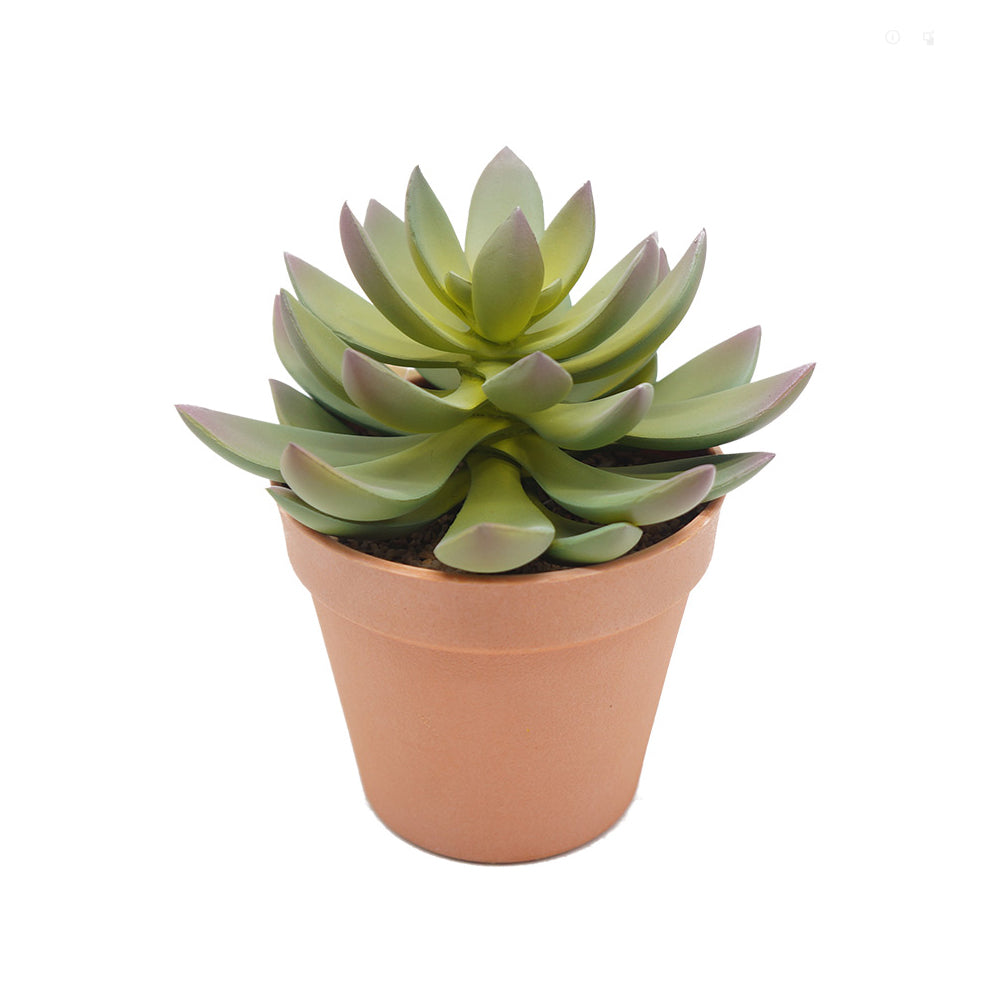Green Lotus Plastic Pot | Artificial pots and plants - Casaliving ...