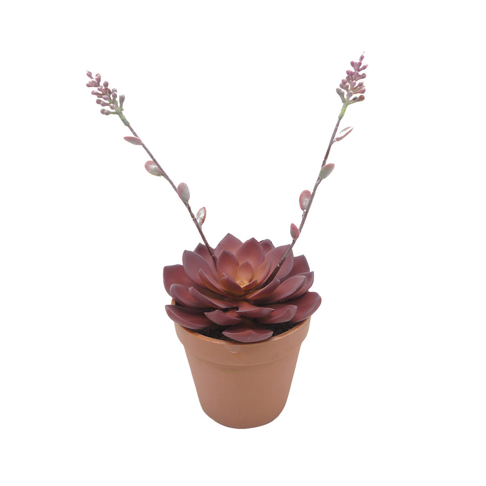 Red Lotus Plastic Pot | Artificial pots and plants - Casaliving — Casa ...